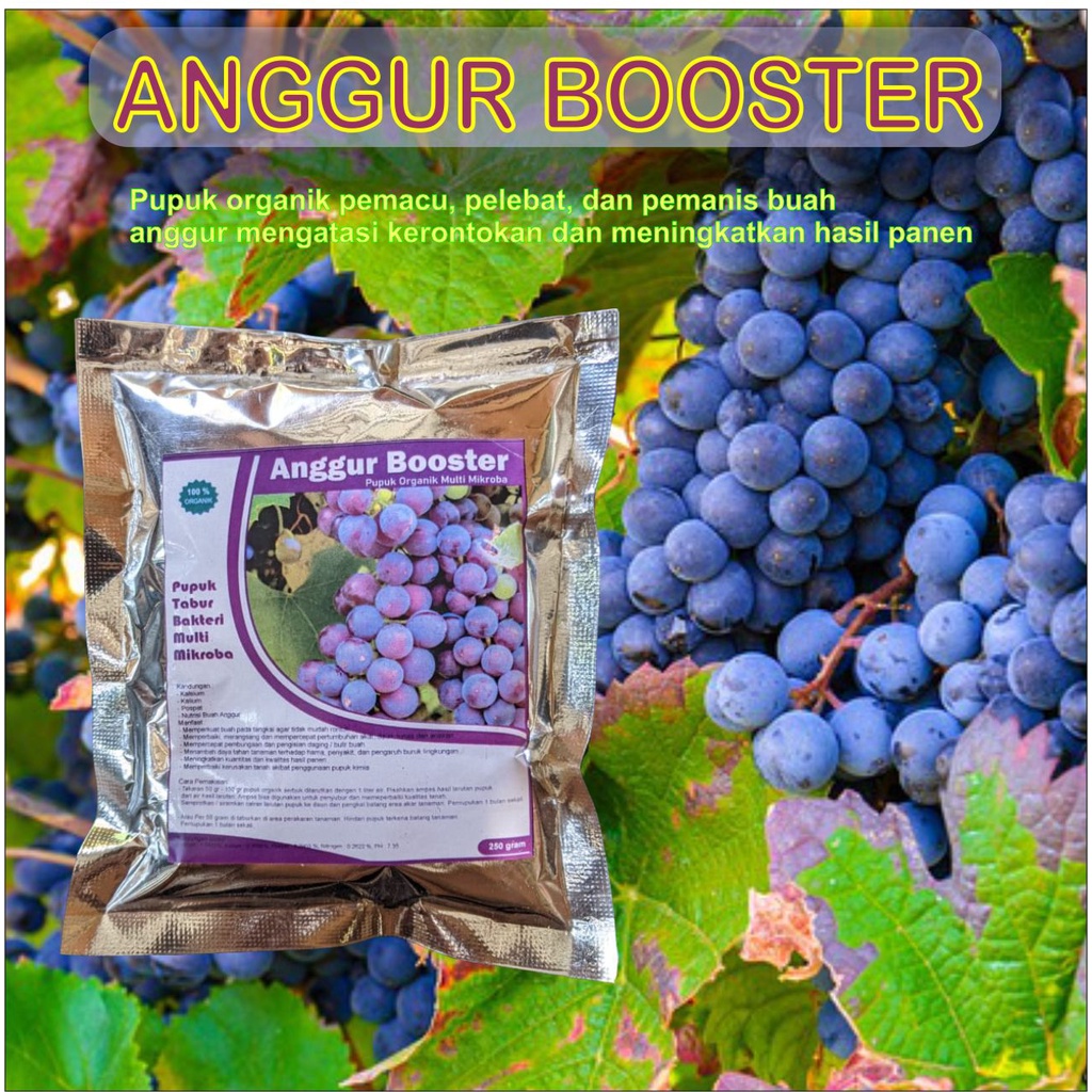Jual Pupuk Booster Anggur Organik Agar Cepat Berbuah Lebat Obat Vitamin Perangsang Pembuahan ...