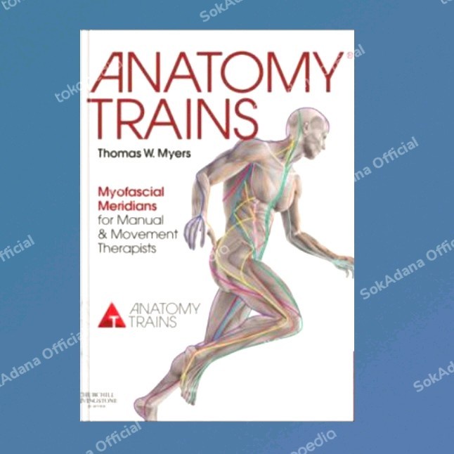 Jual Buku Anatomy Trains myofascial meridians 3rd Edition by Thomas ...