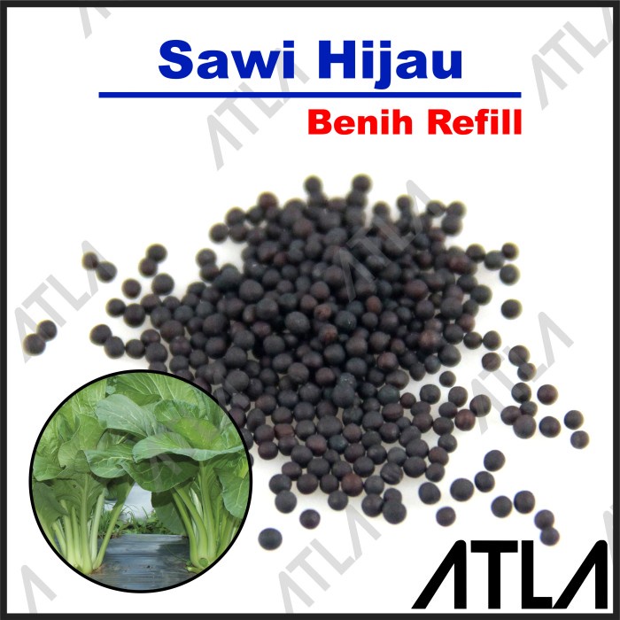 Jual Benih Pakcoy Biji Sawi Bibit Tanaman Sayur Sayuran Refill - Sawi ...