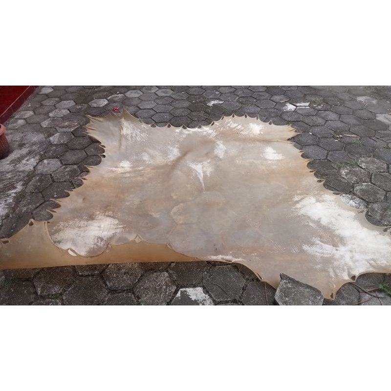 Jual Kulit sapi lembaran | Shopee Indonesia