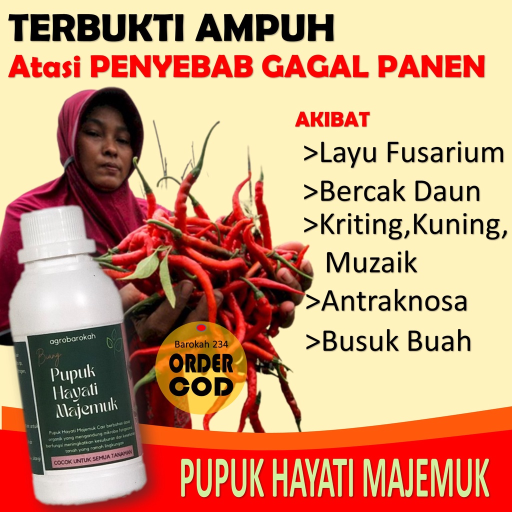Jual Pupuk Cabe 300 ml Cabe Atasi Kuning Daun dan Keriting Anti ...