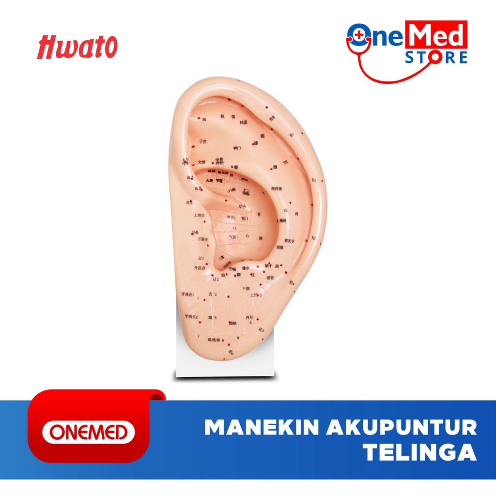 Jual Manekin Patung Akupuntur Acupuncture Telinga Onemed OJ | Shopee ...