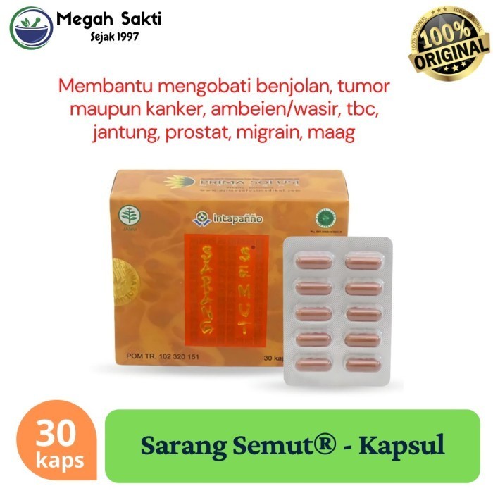 Jual MGS - Sarang Semut Obat Herbal Kanker / Tumor 30 Kapsul | Shopee Indonesia