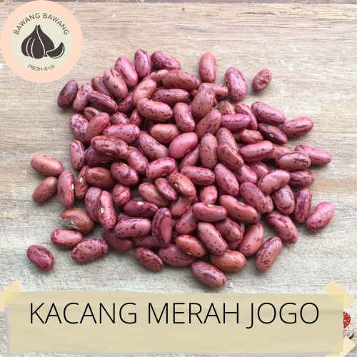 Jual Kacang Merah Jogo 500gr 1 Kg Shopee Indonesia