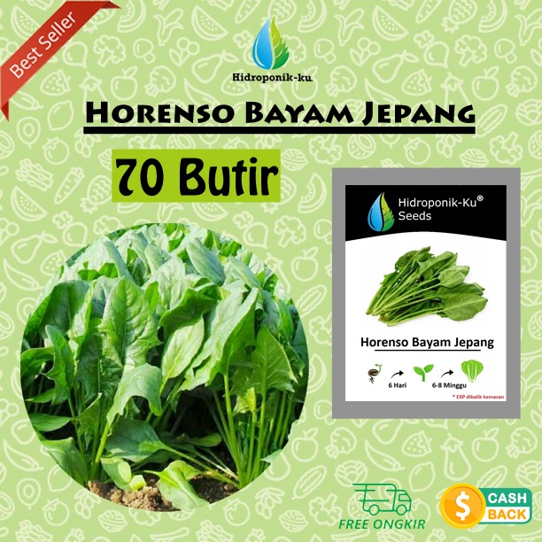 Jual Benih Bayam Jepang Horenso / Poling- ALRITE 70 butir - Hidroponik ...