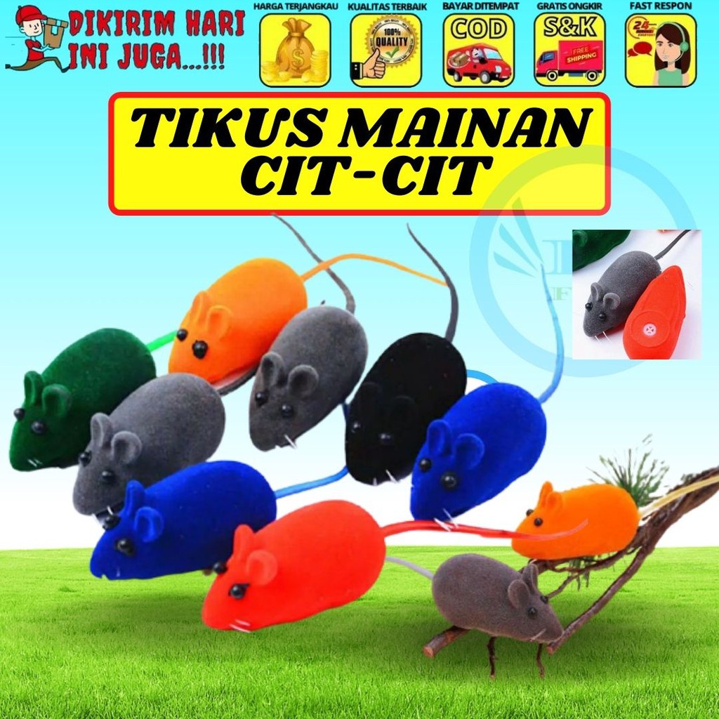 Jual Mainan Tikus Interaktif Kucing Cat Toys Bentuk Tikus Bisa Bunyi ...