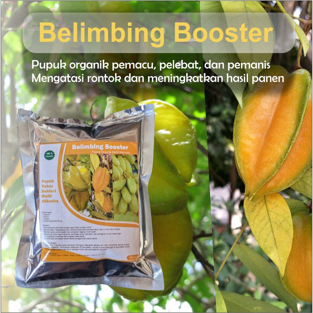 Jual Pupuk Booster Belimbing Organik Agar Cepat Berbuah Lebat Obat ...