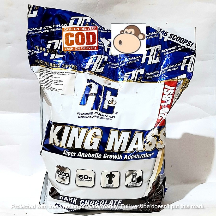 Jual Ronnie Coleman Rc King Mass Xl Gainer 15 Lbs | Shopee Indonesia