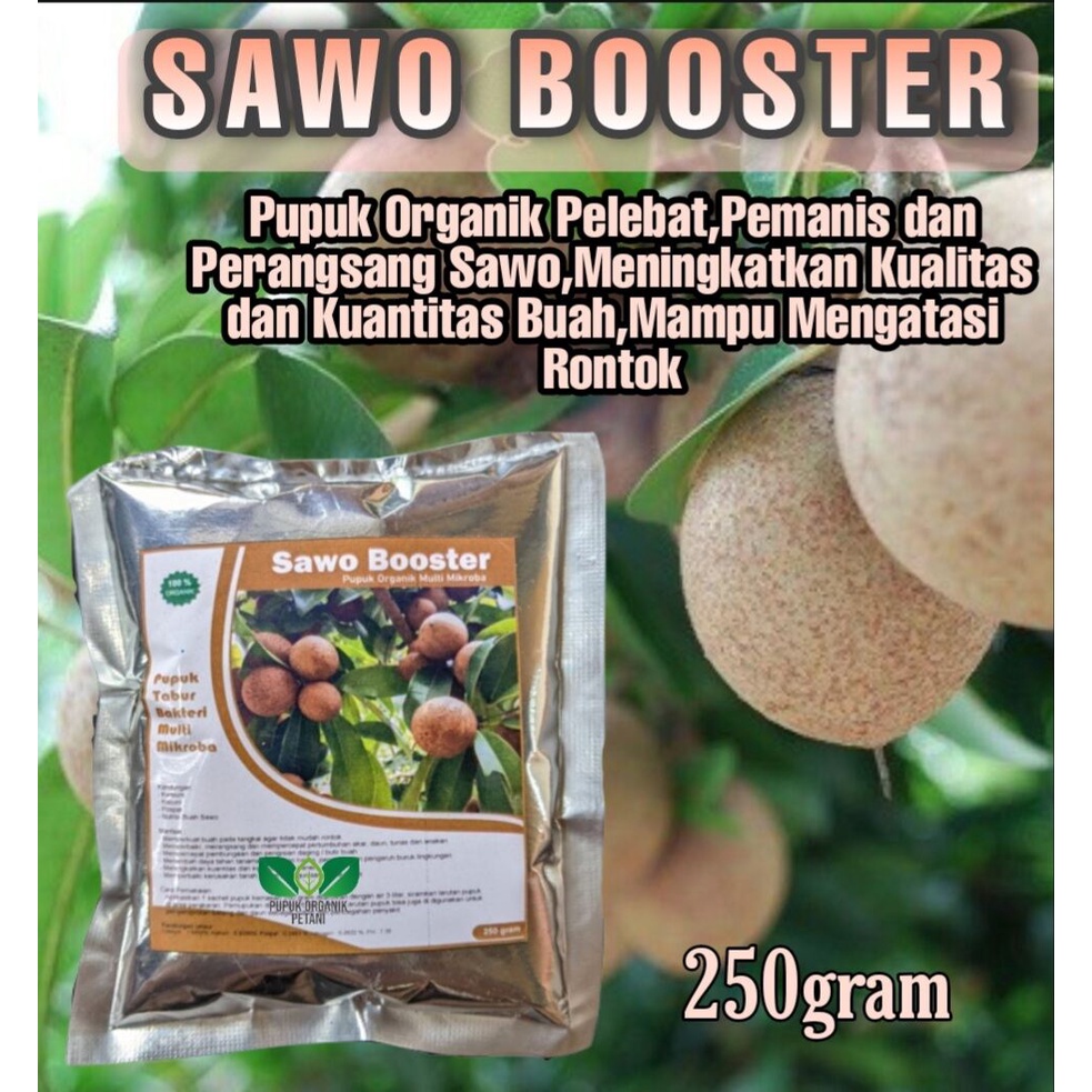 Jual Pupuk Pelebat Buah Sawo Organik Booster dan Pupuk Organik Perangsang Sawo Ampuh Berkualitas ...