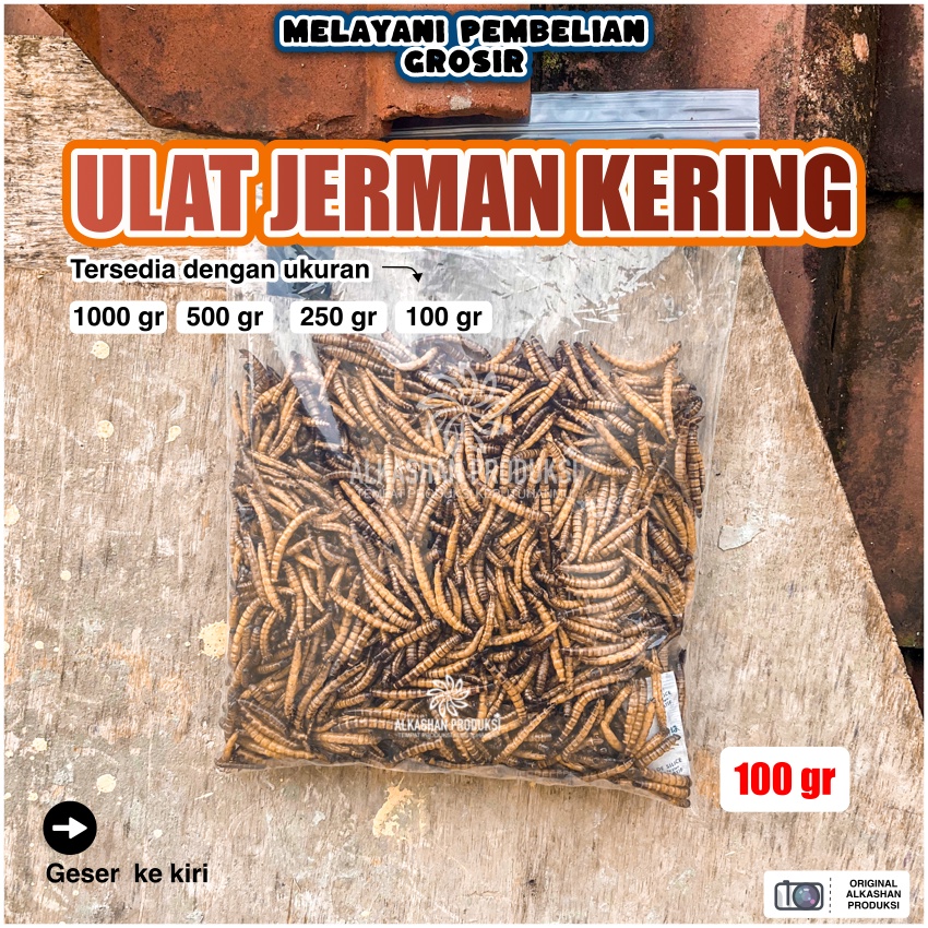 Jual ULAT JERMAN KERING 100 GRAM | Shopee Indonesia