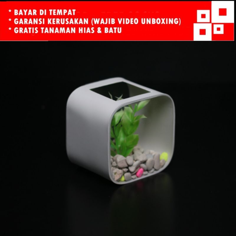 Jual aquarium mini unik kotak akrilik pvc kekinian ikan cupang,guppy ...