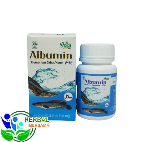 Jual Kapsul Albumin Fit Inayah I Kapsul Ekstrak Ikan Gabus Isi 60 Kapsul | Shopee Indonesia