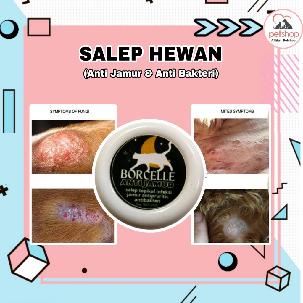Jual Salep Anti Jamur Dan Bakteri Ampuh Untuk Kucing - Obat Anti Jamur ...