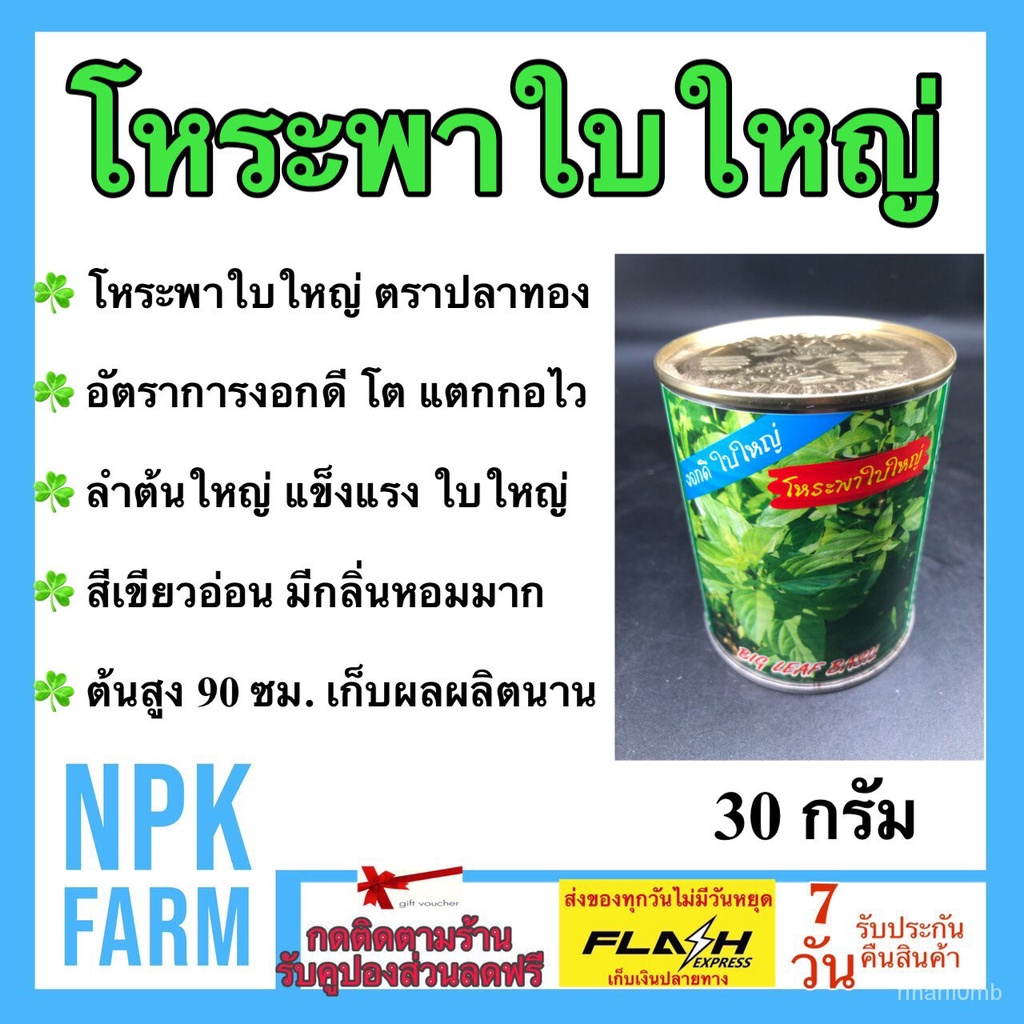 Jual 2022 basil besar 30g ikan mas, biji montok, banyak basil baru ...