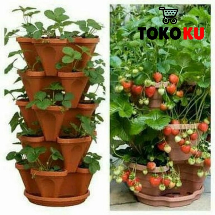 Jual Poo Pot Bunga Gantung Susun 5/Pot Tanaman Unik/Pot Gantung Murah ...