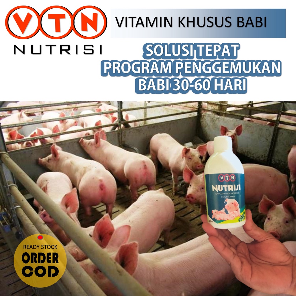 Jual Vitamin Babi 500ML Semua Umur Vitamin Babi Cepat Besar Campuran ...