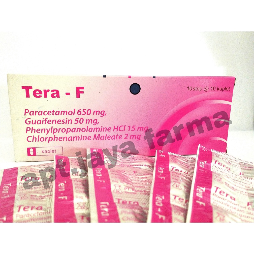 Jual TERA-F OBAT BATUK PILEK TABLET (HARGA/STRIP =10 TABLET) | Shopee ...