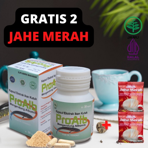 Jual KAPSUL KUTUK PRO ALBUMIN EKSTRAK IKAN GABUS KUTUK KAPSUL isi 50 kapsul 100% asli original ...