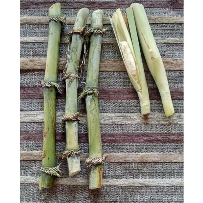 Jual Bibit Stek Turubuk 1Kg Telur Tebu Endog Tiwu Delowako | Shopee ...