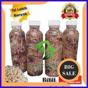 Jual tools n parts Pupuk Organik Cair Biang Jamur Jakaba 250 ml 1F3BZ3 ...