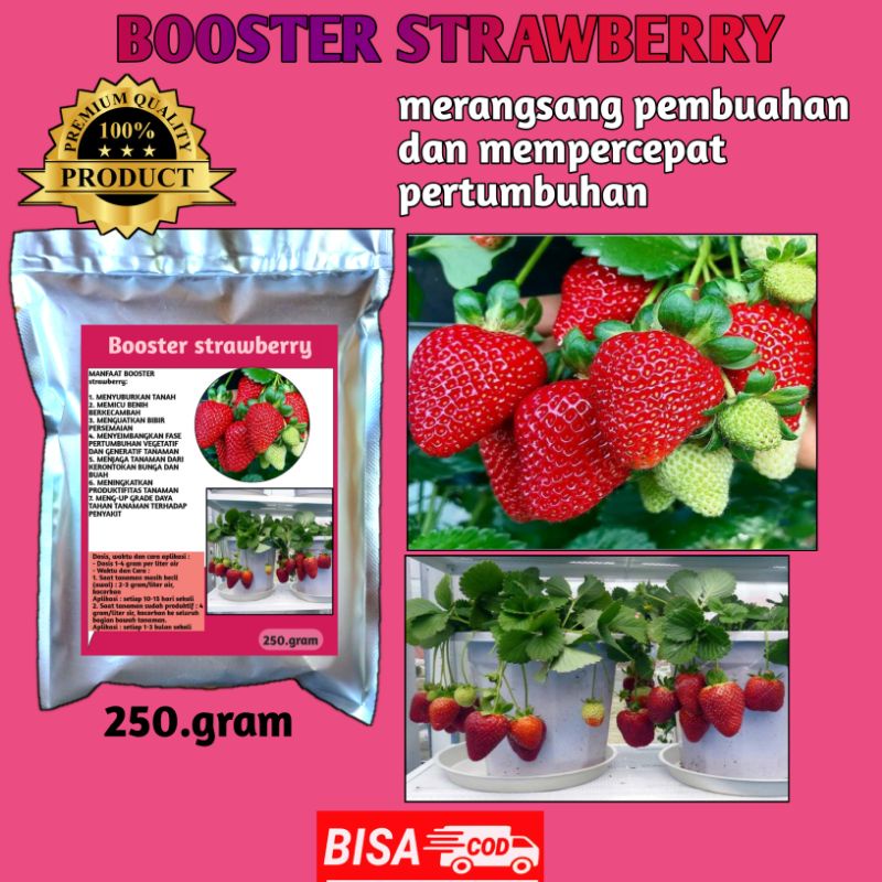 Jual pupuk booster strawberry pupuk perangsang buah melebatkan menyuburkan | Shopee Indonesia