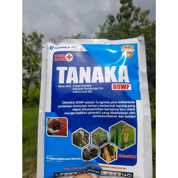 Jual Fungisida Tanaka 80wp 500gr Fungsida Bakterisida Pengendali Hama ...