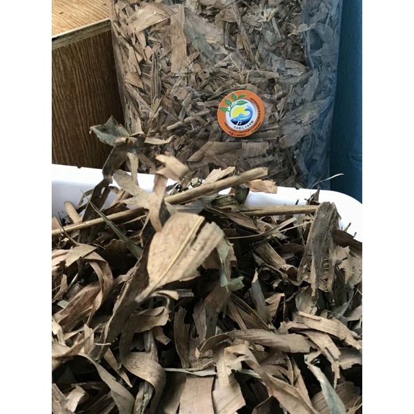 Jual Daun Bambu Kering Media tanam 200 gram | Shopee Indonesia