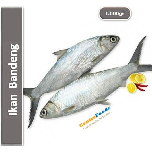 Jual Ikan Bandeng - Milk Fish Fresh | 1.000gr [ Harga Per KG ] | Shopee ...