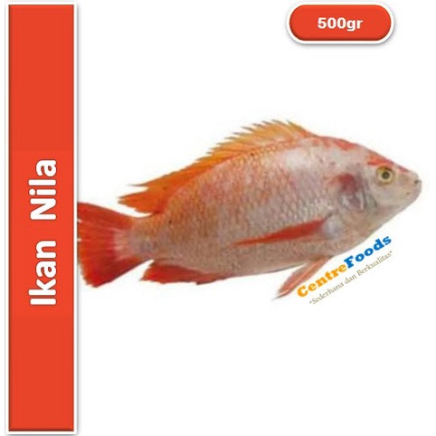 Jual Ikan Nila - Nila Merah Fresh | 500gr [ Harga Per 0,5 Kg ] | Shopee ...