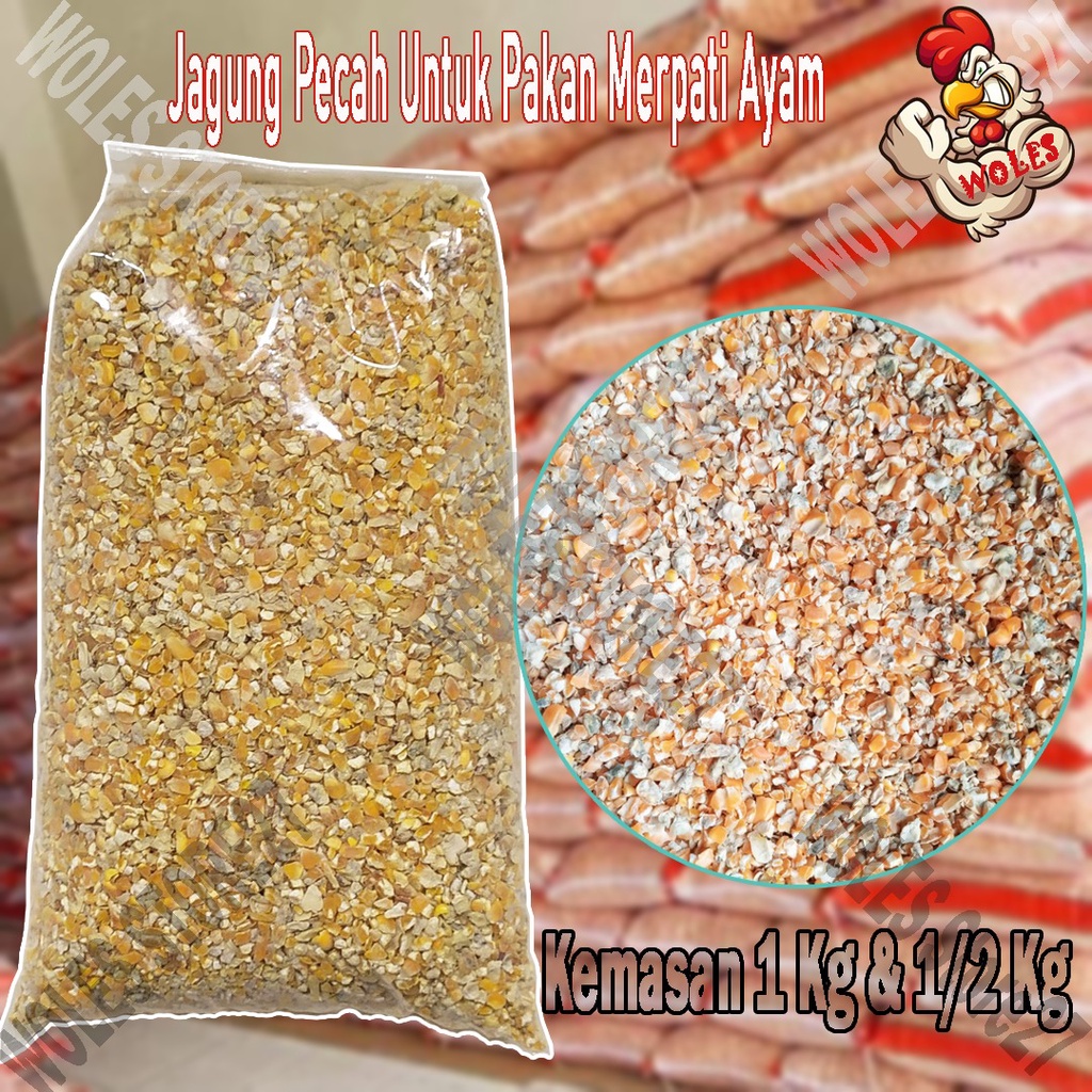 Jual 1 Kg & 500 Gram Jagung Pecah Giling Kasar Biasa Pakan Makanan ...