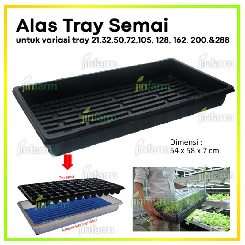 Jual Tray Semai Bibit Sayuran, Bunga, Lubang 105, 128, 200 Media Tanam ...