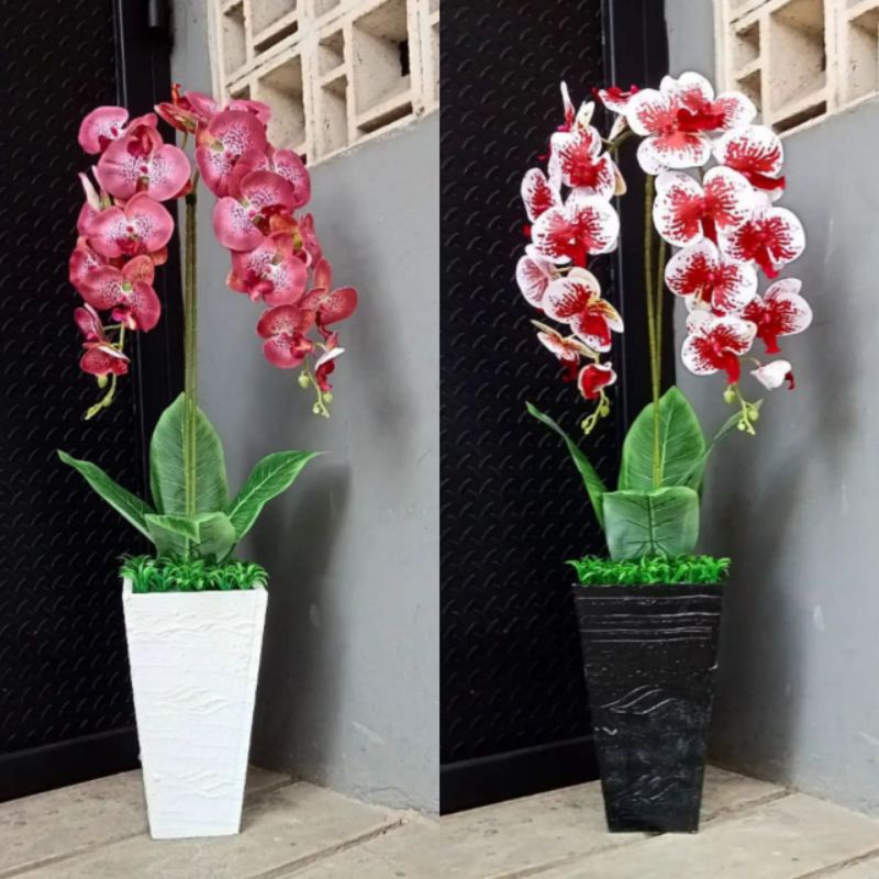 Jual POHON ANGGREK LATEKS PREMIUM DENGAN POT KAYU HEXAGONAL | Shopee ...