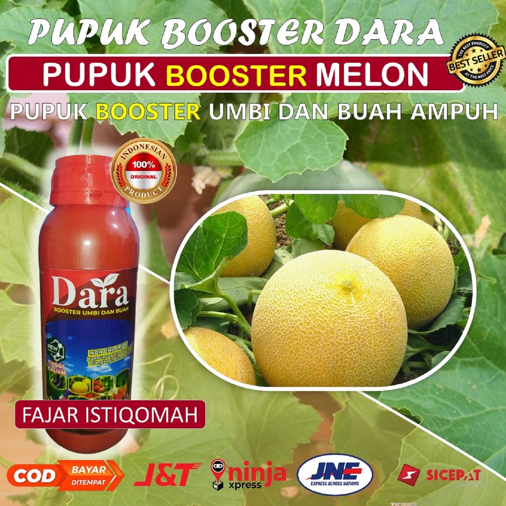 Jual pupuk tanaman manjur DARA 500 ML, pupuk booster umbi atau buah ...