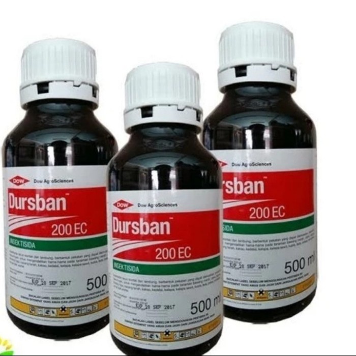 Jual Dursban 200EC 500ML Insektisida Pembasmi Hama Tanaman | Shopee ...