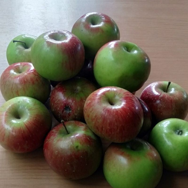 Jual Buah Apel Rome Beauty Apel Malang 1kg Asem Manis Segar | Shopee ...