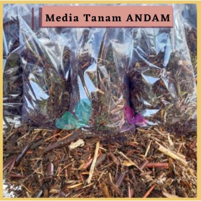 Jual ANDAM Media Tanam Organik dari Pakis Bambu Fermentasi Tanaman ...