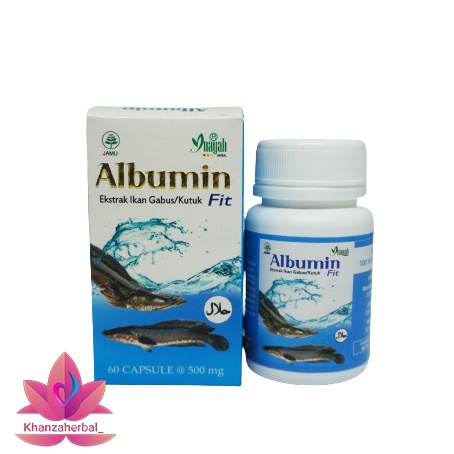 Jual Kapsul Albumin Fit Ekstrak Ikan Kutuk/Gabus I Albumin Inayah - 60 Kapsul | Shopee Indonesia