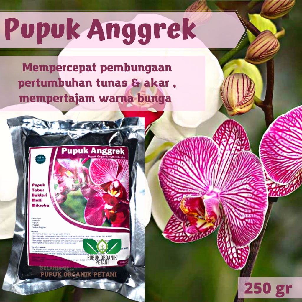 Jual Pupuk Anggrek Organik Perangsang Penyubur Tanaman dan Pupuk ...
