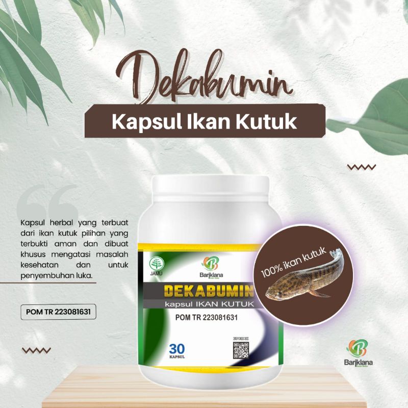 Jual Kapsul Ikan Kutuk Ikan Gabus | Shopee Indonesia