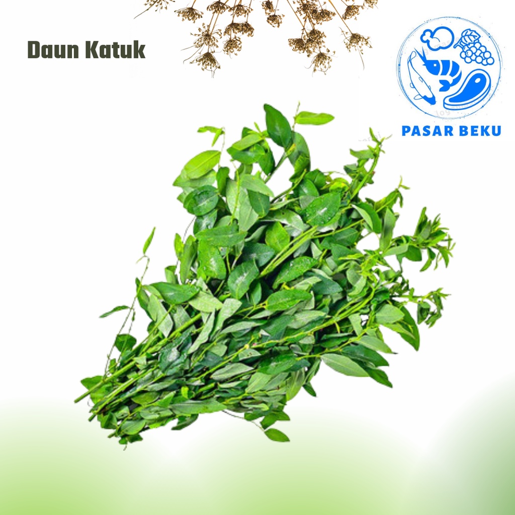 Jual Sayuran Herbal Daun Katuk Per-Ikat Fresh Pasar Beku Padang ...