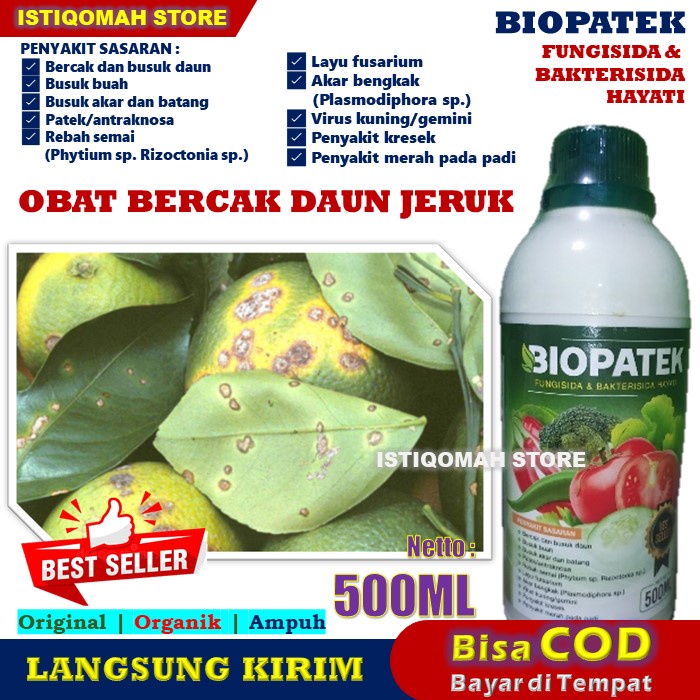 Jual Obat Bercak Hitam Daun Jeruk Paling Ampuh BIOPATEK 500ML Fungisida & Bakterisida Hayati ...