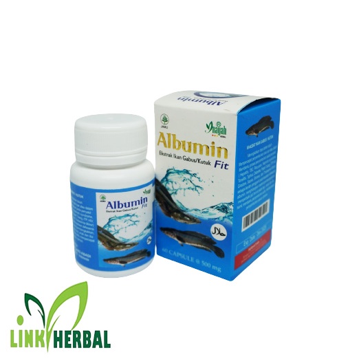 Jual Kapsul Albumin Fit Ekstrak Ikan Gabus Ikan Kutuk I Albumin Inayah 60 Kapsul | Shopee Indonesia