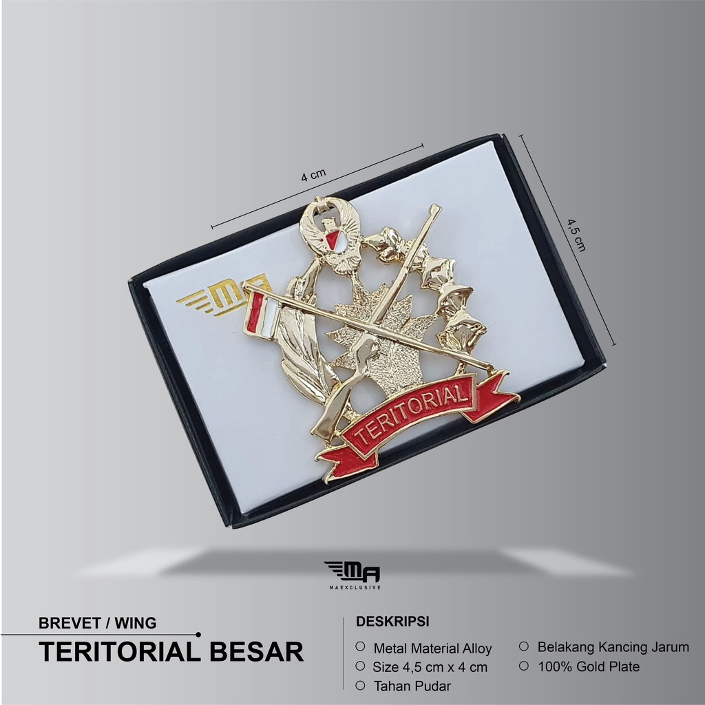 Jual WING TERITORIAL BESAR PDH BRIVET BREVET TERITORIAL BESAR | Shopee ...