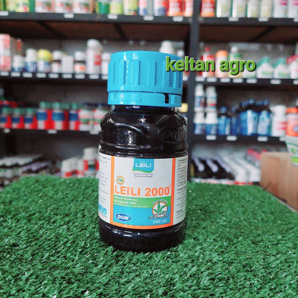 Jual LEILI 2000 ( 250 ml ) | Shopee Indonesia