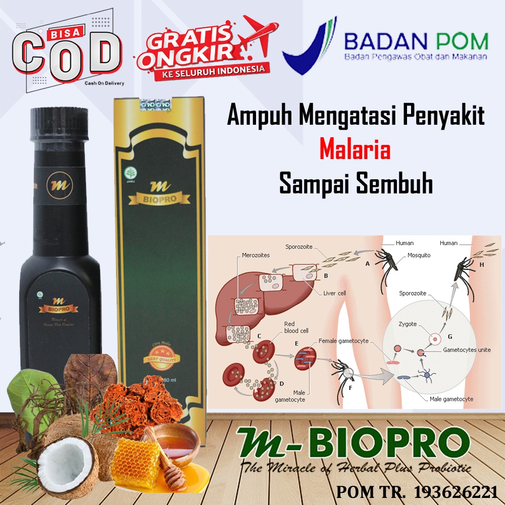 Jual Obat Malaria Paling Ampuh - Malaria Papua - Malaria Kloroquin ...