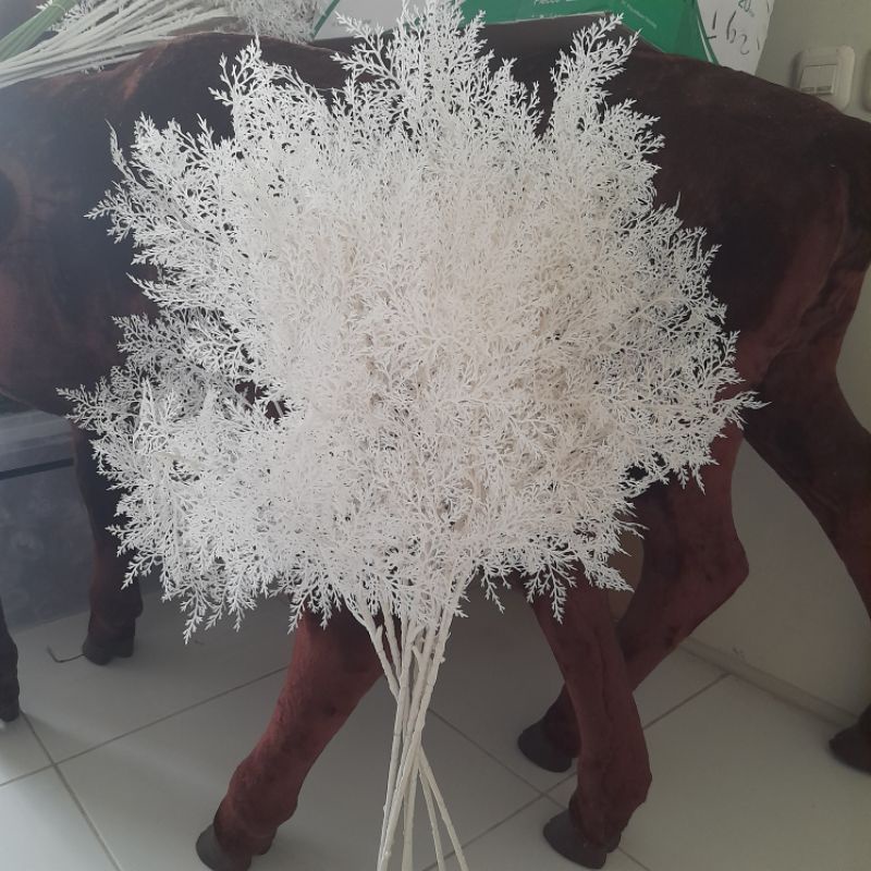 Jual Daun cemara asparagus putih bahan plastik untuk dekorasi aesthetic ...