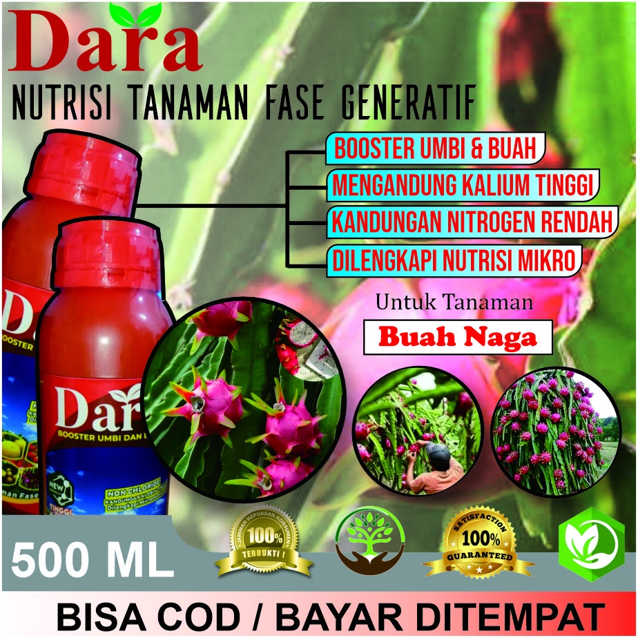 Jual DARA 500 ML Pupuk Booster Buah Naga Organik Agar Cepat Berbuah ...