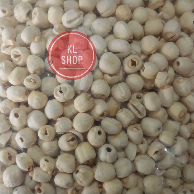 Jual Biji Teratai / Lotus Seed / Lienci super 100 Gram | Shopee Indonesia