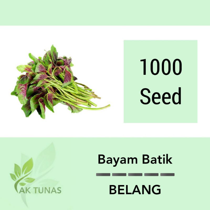 Jual 1000 BIJI BENIH UNGGUL BAYAM BATIK BELANG BIBIT SAYURAN BAYAM ...