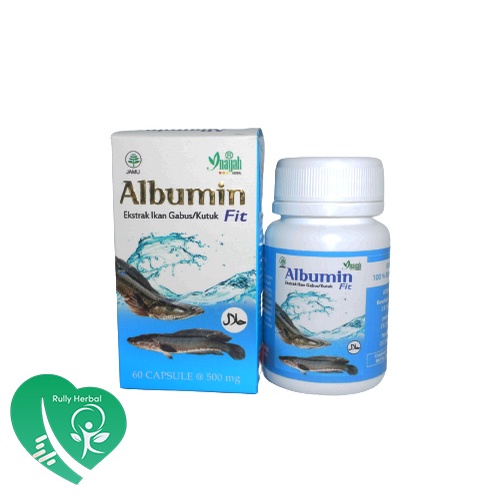 Jual ALBUMIN FIT INAYAH EKSTRAK IKAN GABUS/KUTUK 60 Capsule | Shopee ...
